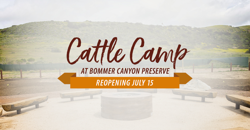 Cattle Camp at Bommer Canyon Preserve Reopens to the Public | City of ...