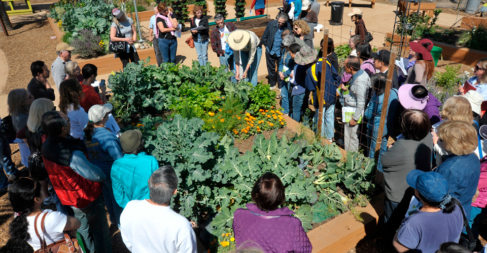 Garden Workshop: Successful Raised Bed Gardens, Part 1 | City of Irvine