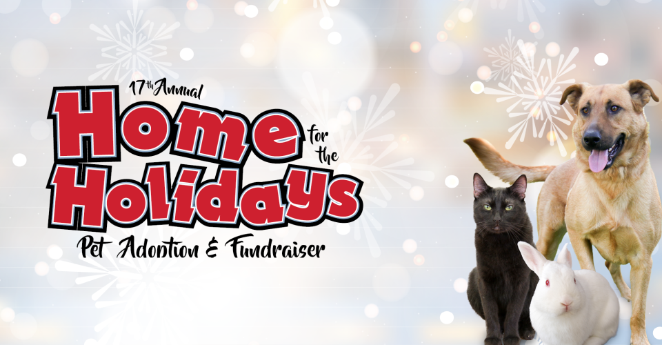 Irvine Animal Care Center to Host 17th Annual Home for the Holidays ...