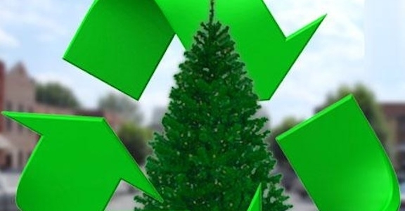 Holiday Tree Recycling | City of Irvine