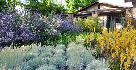 Spring into Gardening Workshop | City of Irvine